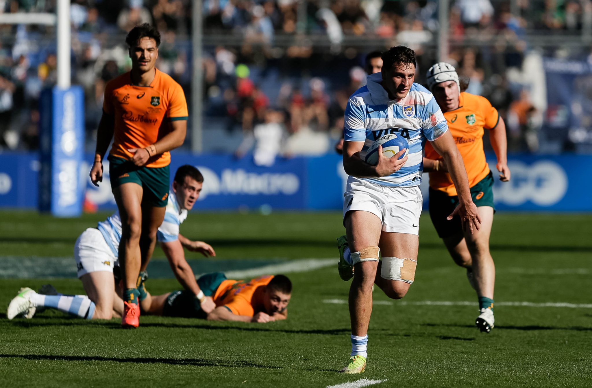 LOS PUMAS JUEGAN LA REVANCHA FRENTE A LOS SPRINGBOKS EN EL CIERRE DEL ...