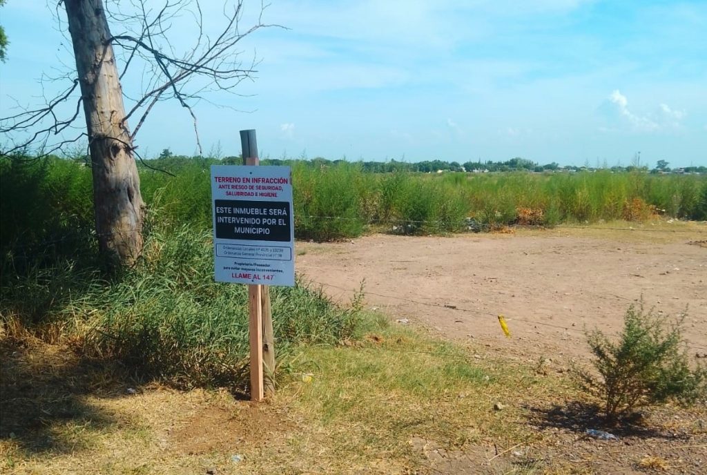 El Municipio continúa con la limpieza de terrenos baldíos | Diario El ...